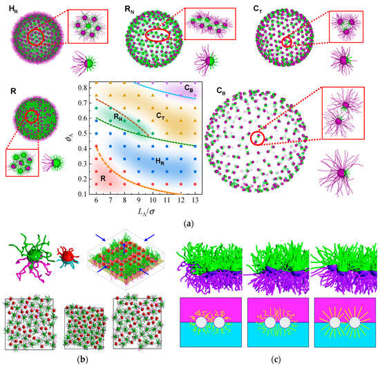 Self-Assembly in Curved Space: Ordering, Defect and Entropy
