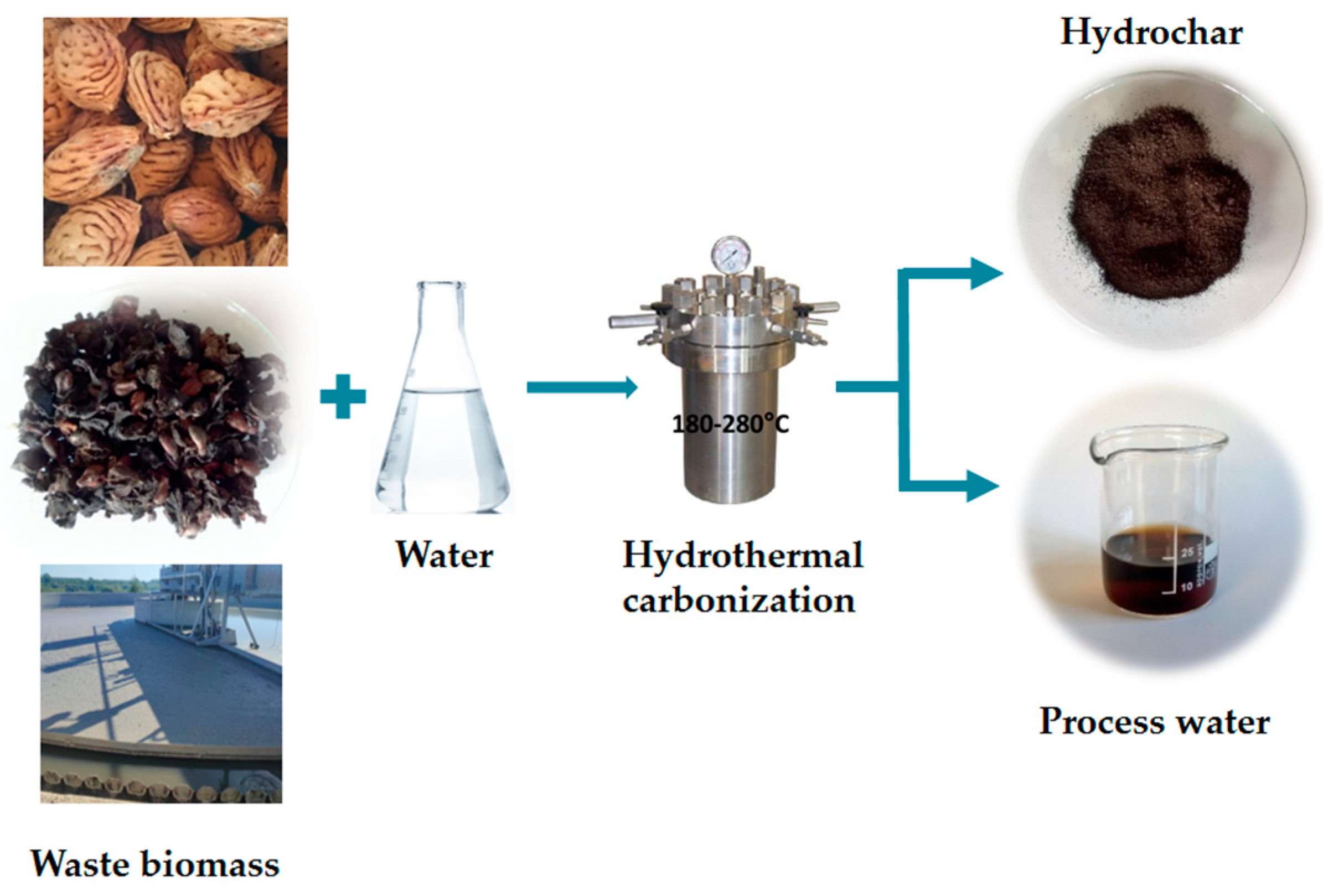 Hydrothermal Carbonization Hydrothermal Carbonization Process