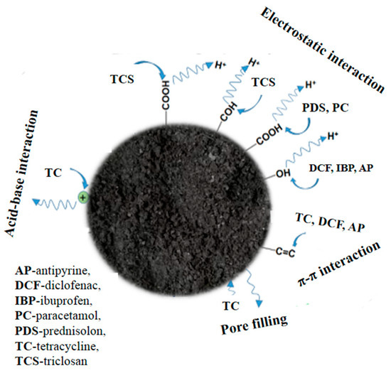 Processes | Free Full-Text | Hydrothermal Carbonization of Waste Biomass: A Review of Hydrochar ...