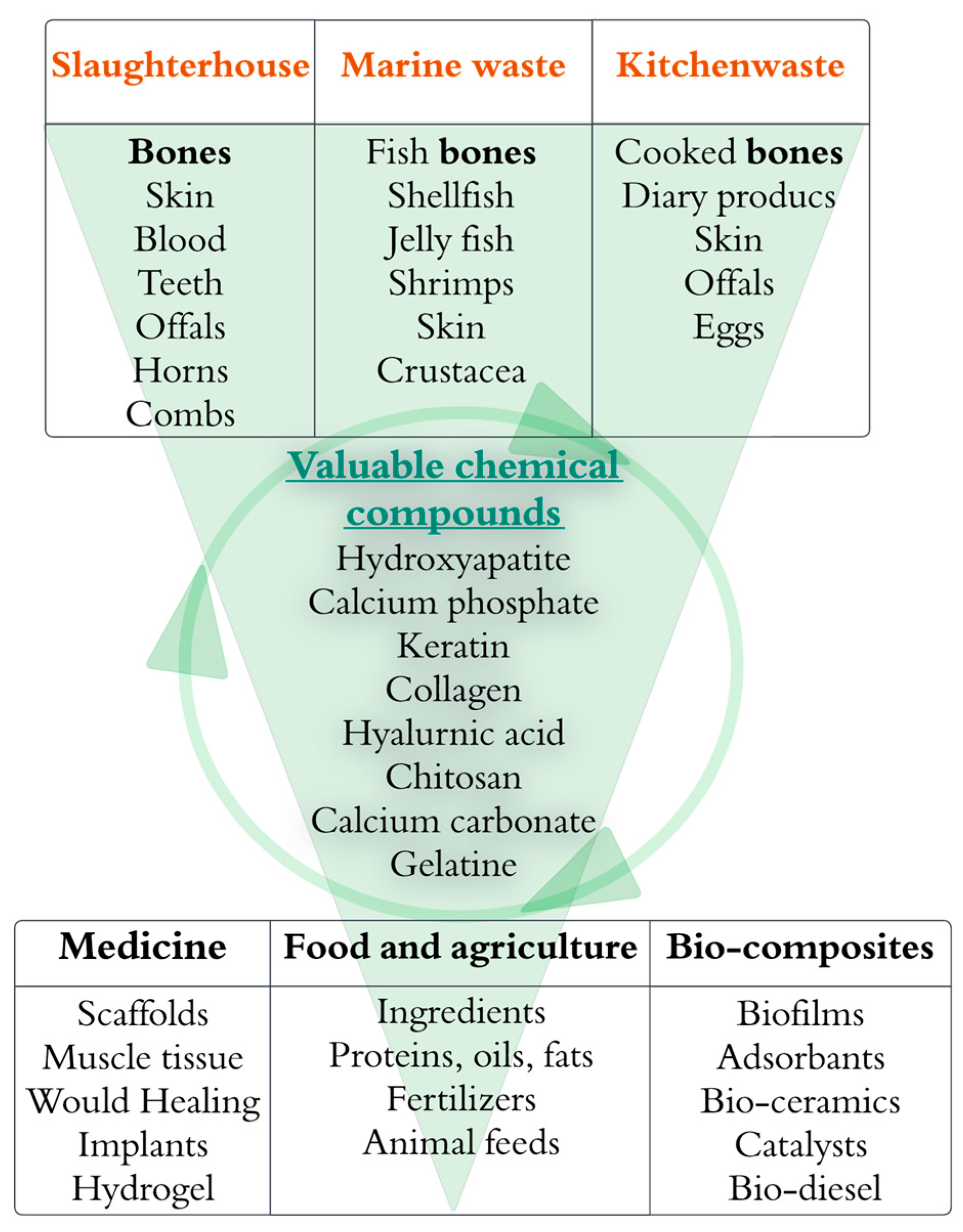 Thermochemical Conversion of Animal-Derived Waste: A Mini-Review with a ...