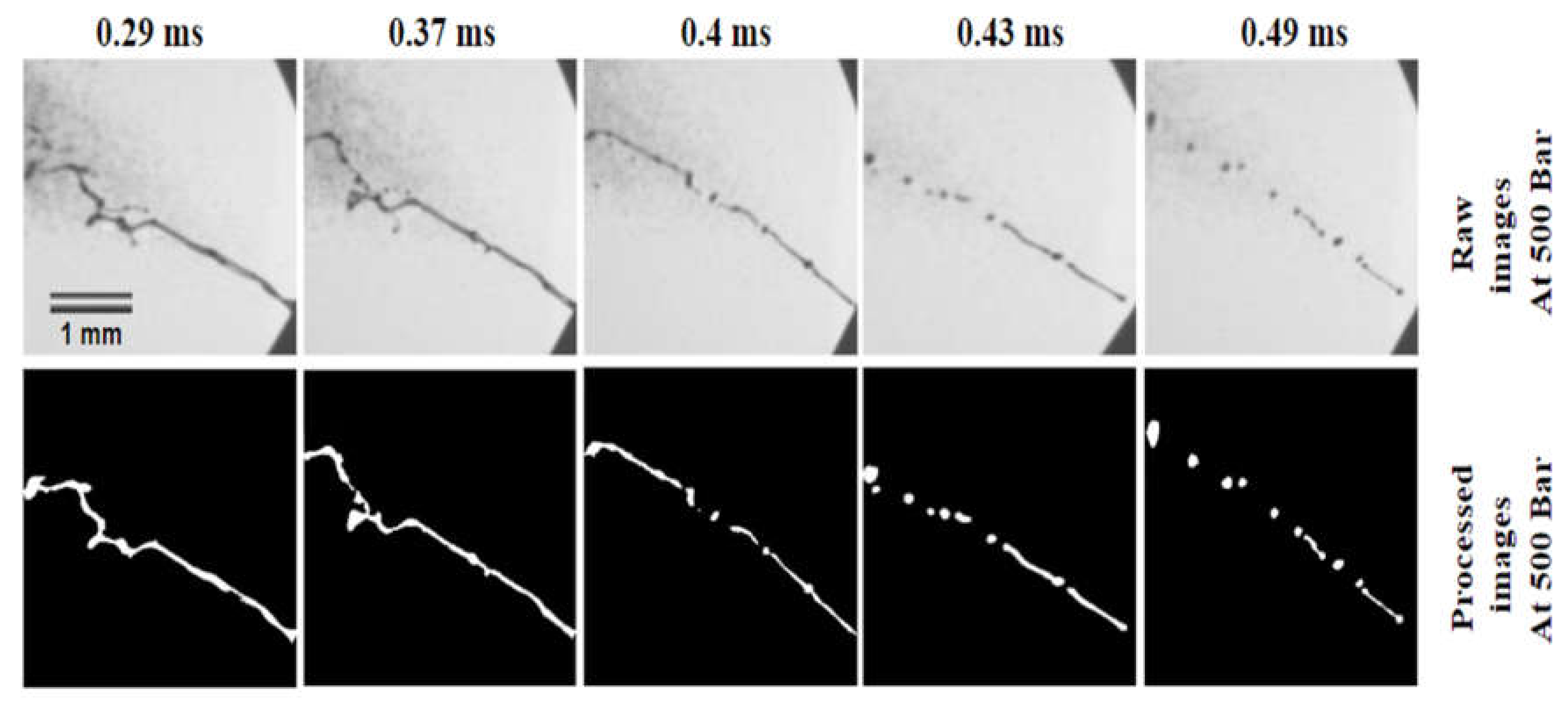 Microscopic Imaging on Diesel Spray and Atomization Process