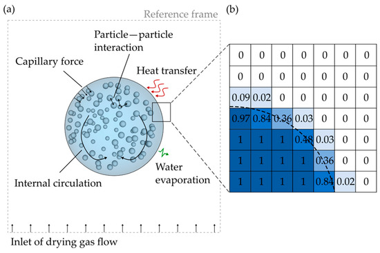 Describing the Drying and Solidification Behavior of Single Suspension ...