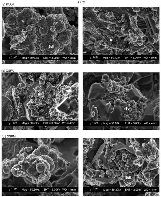 Determining the Role of Water Molecules in Sodalite Formation Using the ...