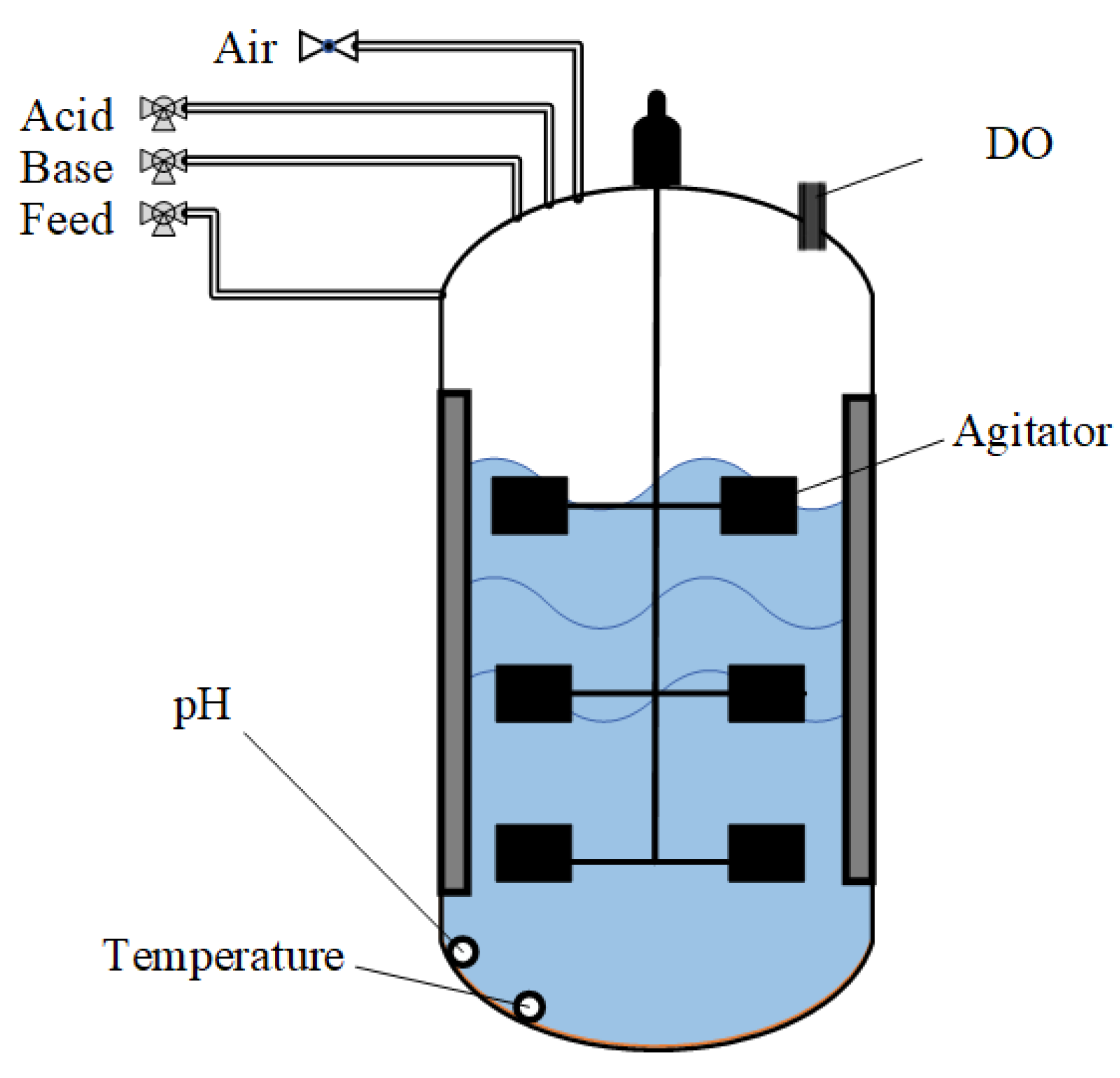 Attention Based Two Dimensional Dynamic Scale Graph Autoencoder For Batch Process Monitoring