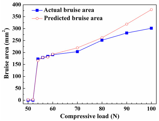 Characterization of Contact Pressure Distribution and Bruising ...