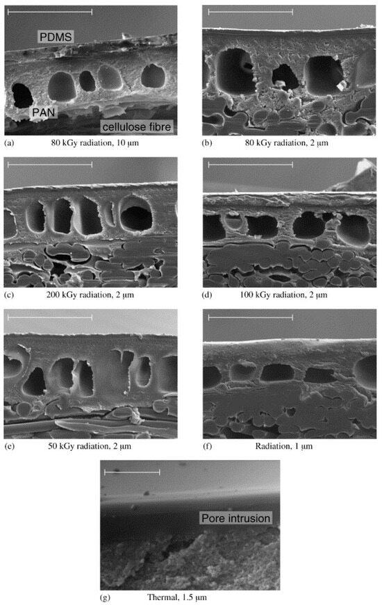 Hollow Fiber Membrane Modification by Interfacial Polymerization for Organic Solvent Nanofiltration