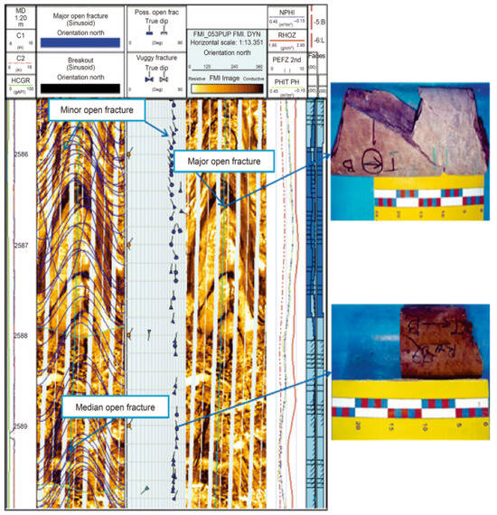 A Comprehensive Investigation of the Relationship between Fractures and ...