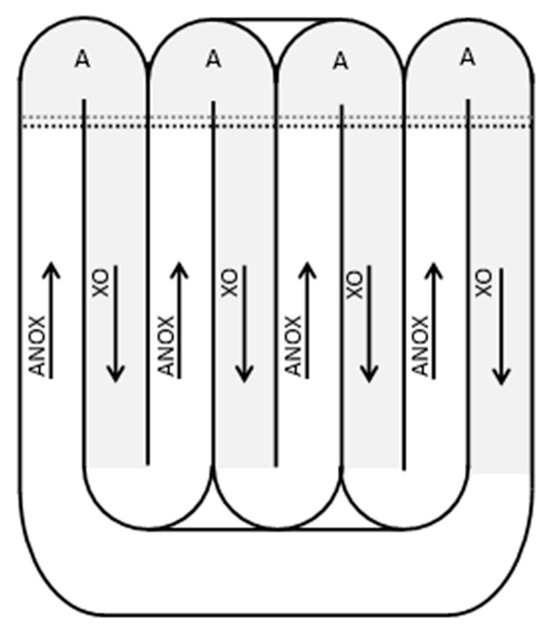 Nutrient Removal and Recovery from Municipal Wastewater