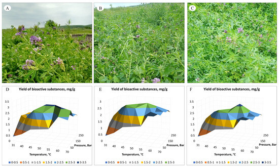Supercritical CO2-Based Extraction and Detection of Phenolic Compounds ...