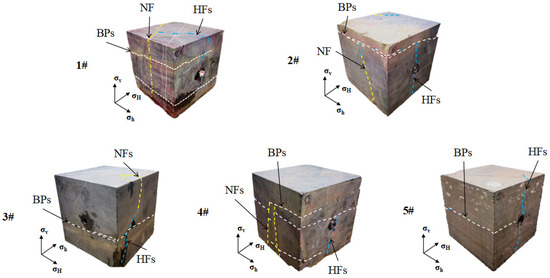 Experimental Study of Plugging Agent Particle Size and Concentration on ...