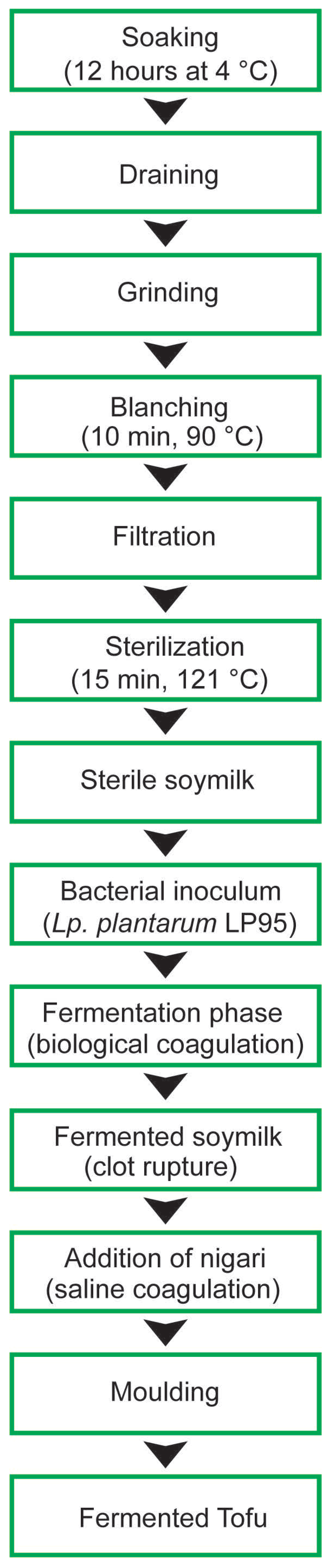 Application of Lactiplantibacillus plantarum LP95 as a Functional ...