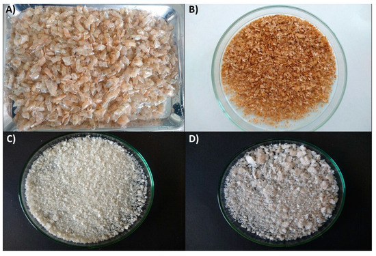 Efficient Chitin Extraction from Shrimp Exoskeletons through Single-Step Fermentation by ...