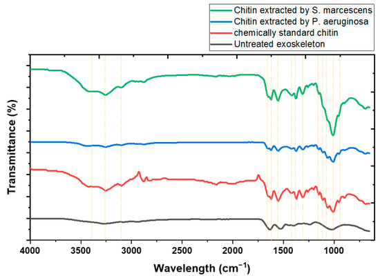 Efficient Chitin Extraction from Shrimp Exoskeletons through Single ...