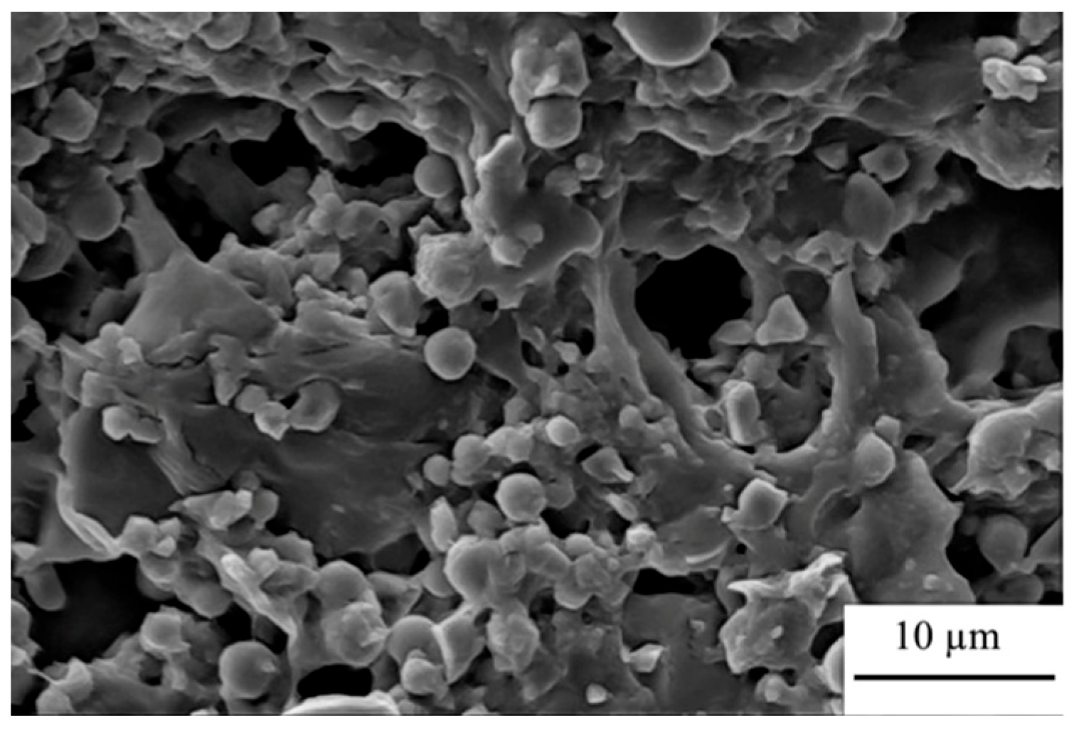 Rice Bran Valorization through the Fabrication of Nanofibrous Membranes ...