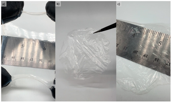 Synthesis of Transparent Bacterial Cellulose Films as a Platform for ...