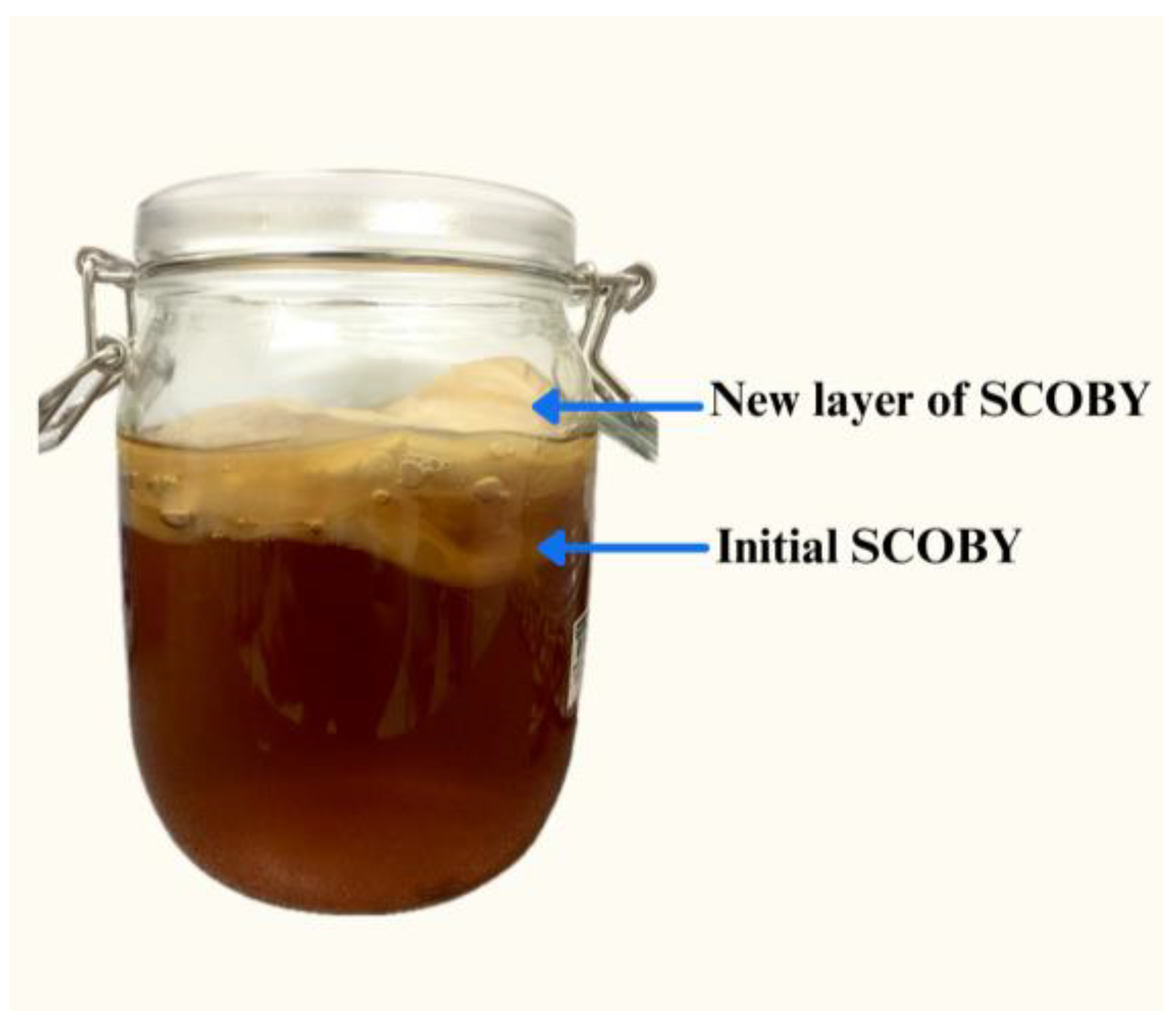 Modelling pH Dynamics, SCOBY Biomass Formation, and Acetic Acid Production of Kombucha ...