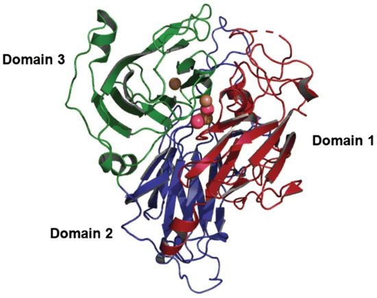 Thermostable α-Amylases and Laccases: Paving the Way for Sustainable ...