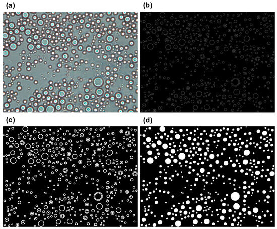Designing Pickering Emulsions Stabilized by Modified Cassava Starch ...