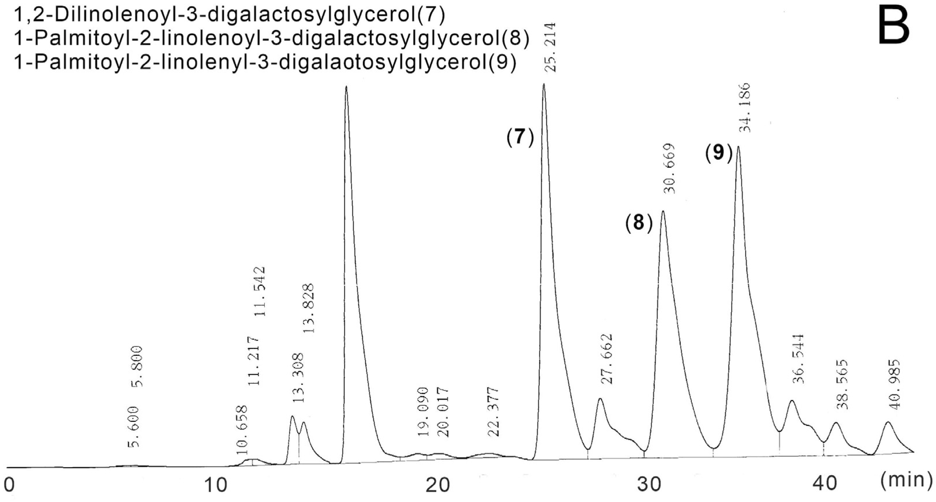 Epidermal and Blood Vessel Barrier Functions of Glucosylceramides and ...