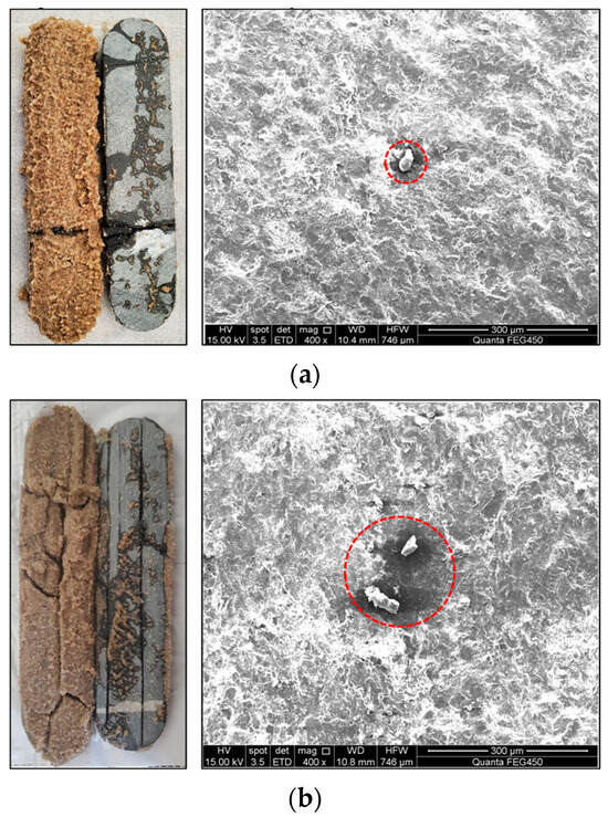 Experimental Study on Factors Affecting Fracture Conductivity