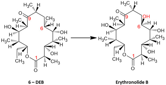 Industrial Catalytic Production Process of Erythromycin
