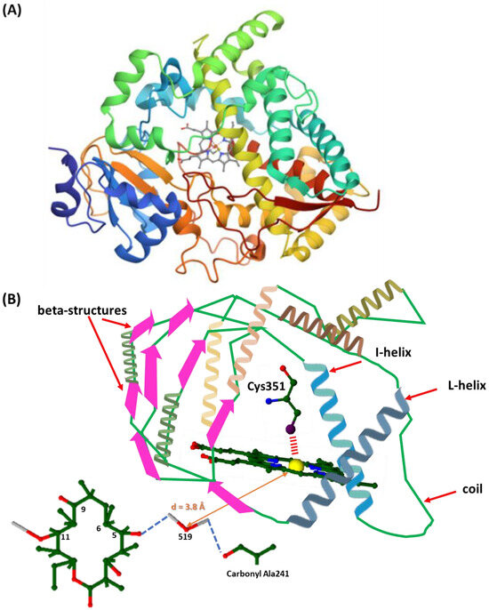 Industrial Catalytic Production Process of Erythromycin
