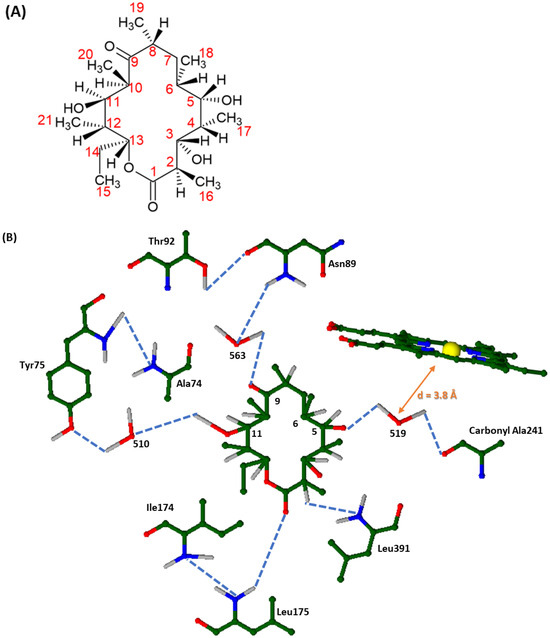 Industrial Catalytic Production Process of Erythromycin
