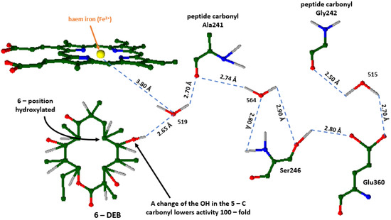 Industrial Catalytic Production Process of Erythromycin