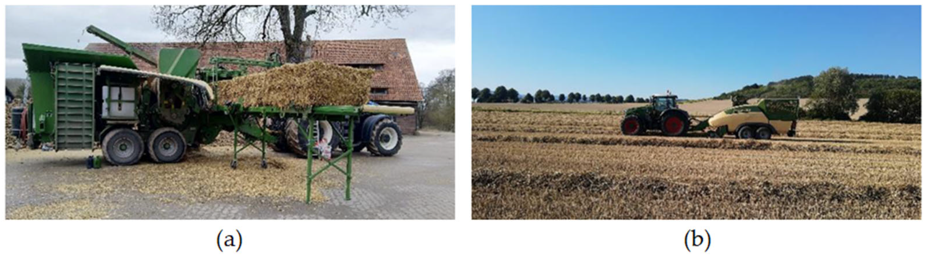 Pelletized Straw for Biogas Production—Substrate Characterization and ...