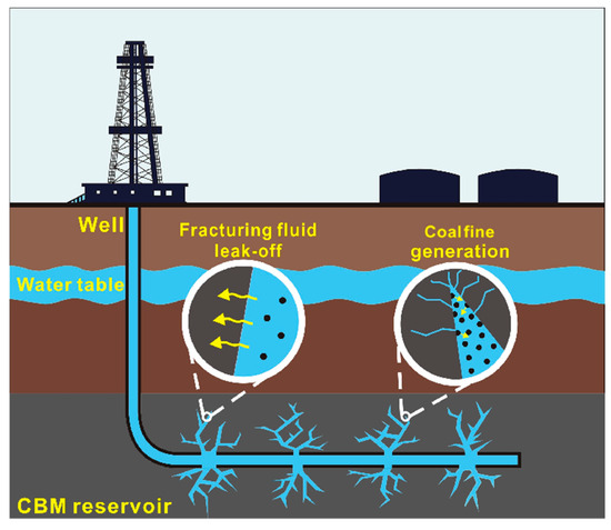 Mitigation of Fracturing Fluid Leak-Off and Subsequent Formation Damage Caused by Coal Fine ...