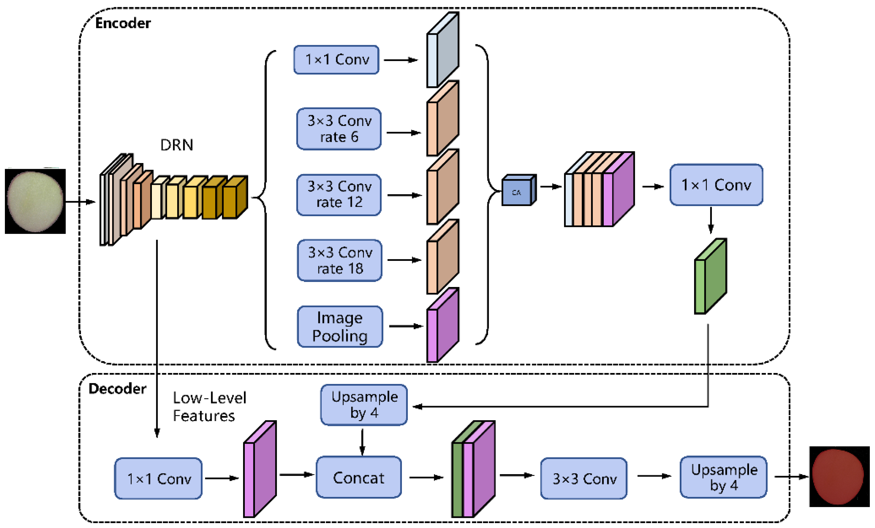 Deep Learning Prediction of Moisture and Color Kinetics of Apple Slices ...
