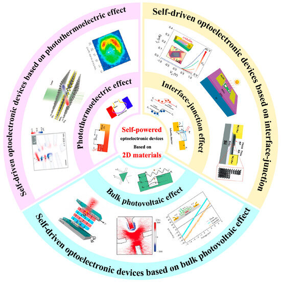 Recent Progress of Self-Powered Optoelectronic Devices Based on 2D ...