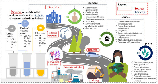 Processes | Free Full-Text | Bio-Recovery of Metals through Biomining ...