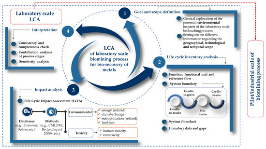 Processes | Free Full-Text | Bio-Recovery of Metals through Biomining ...