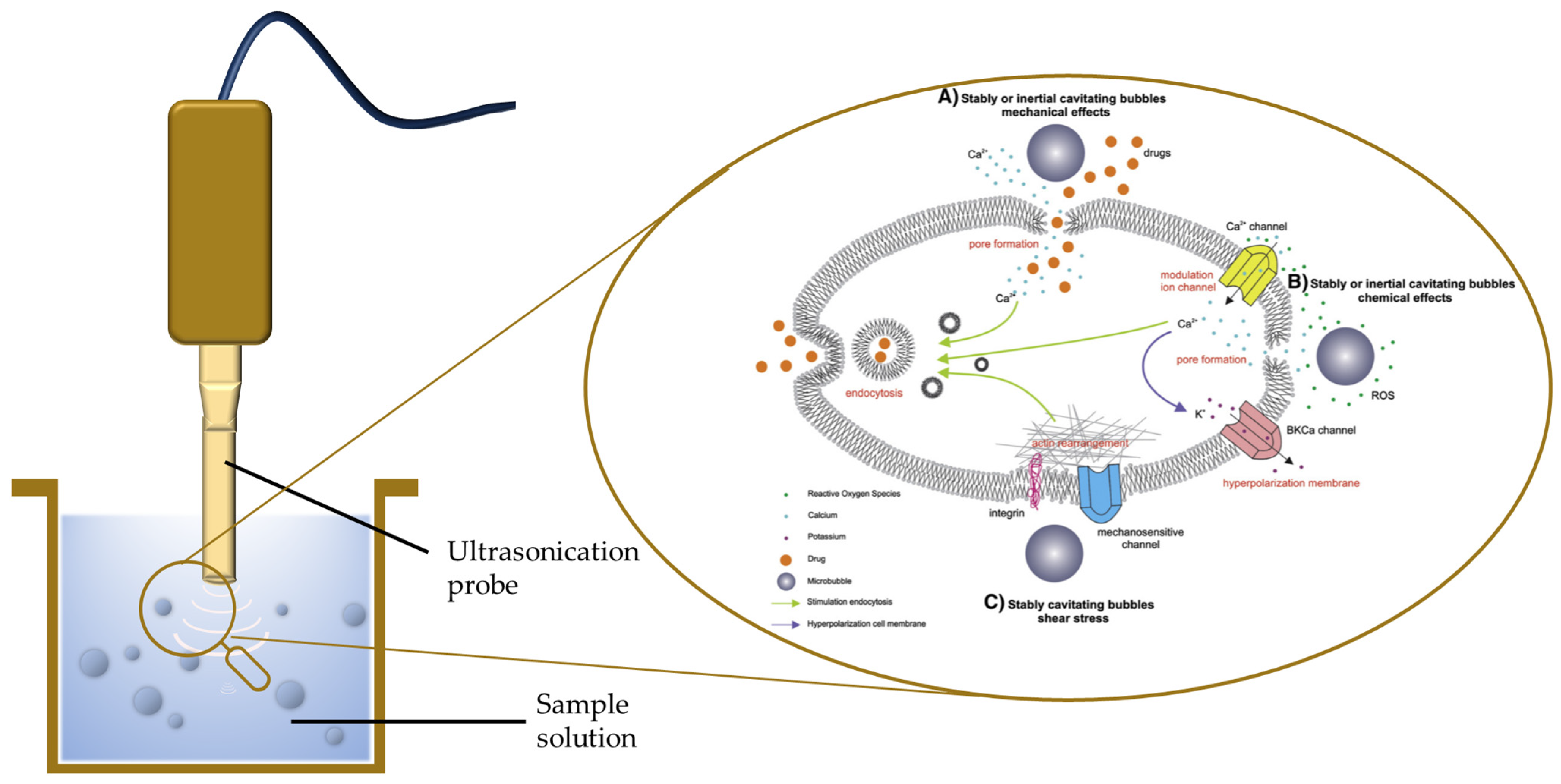 Physical Cell Disruption Technologies for Intracellular Compound Extraction from Microorganisms