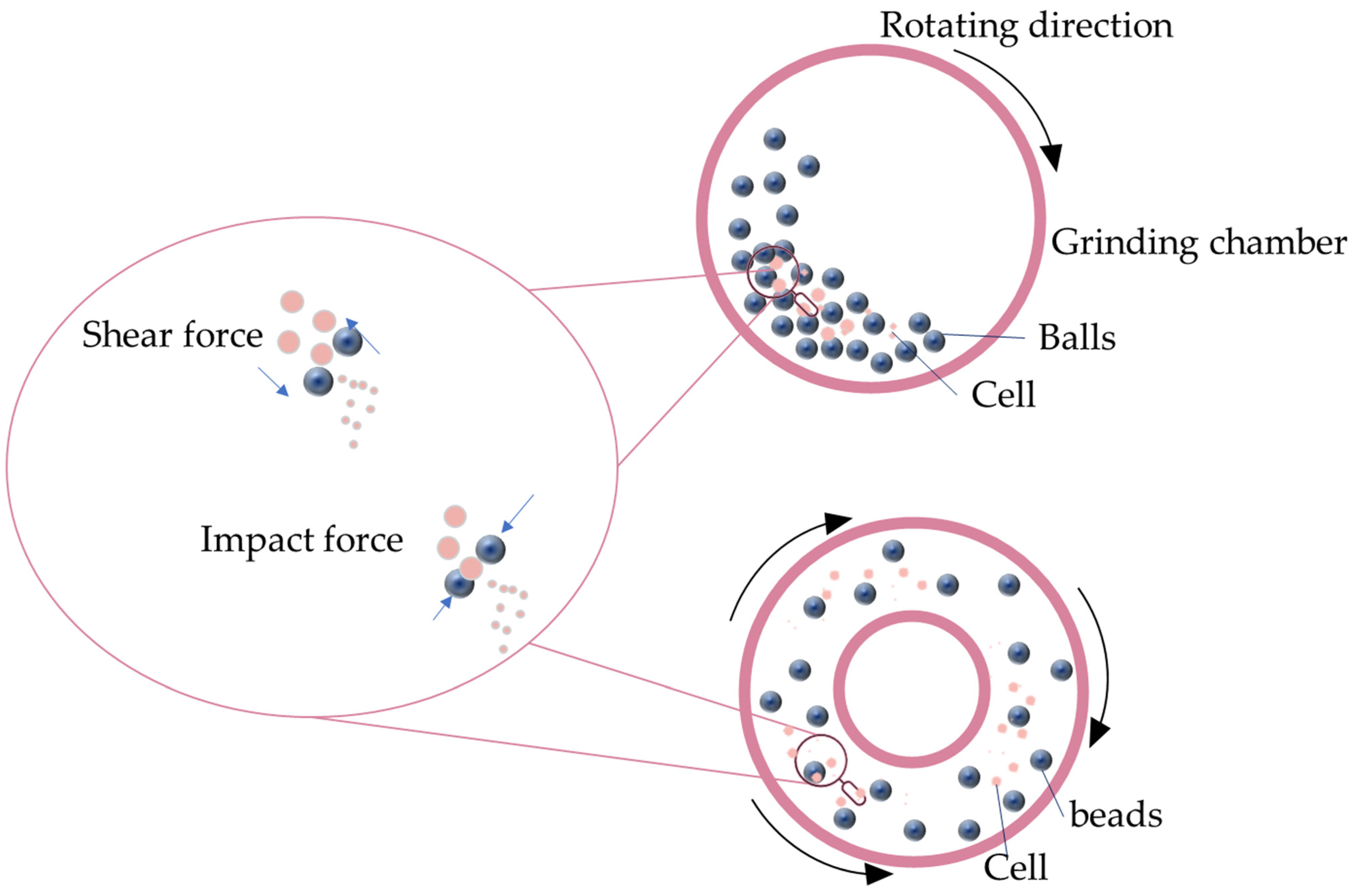 Physical Cell Disruption Technologies for Intracellular Compound Extraction from Microorganisms