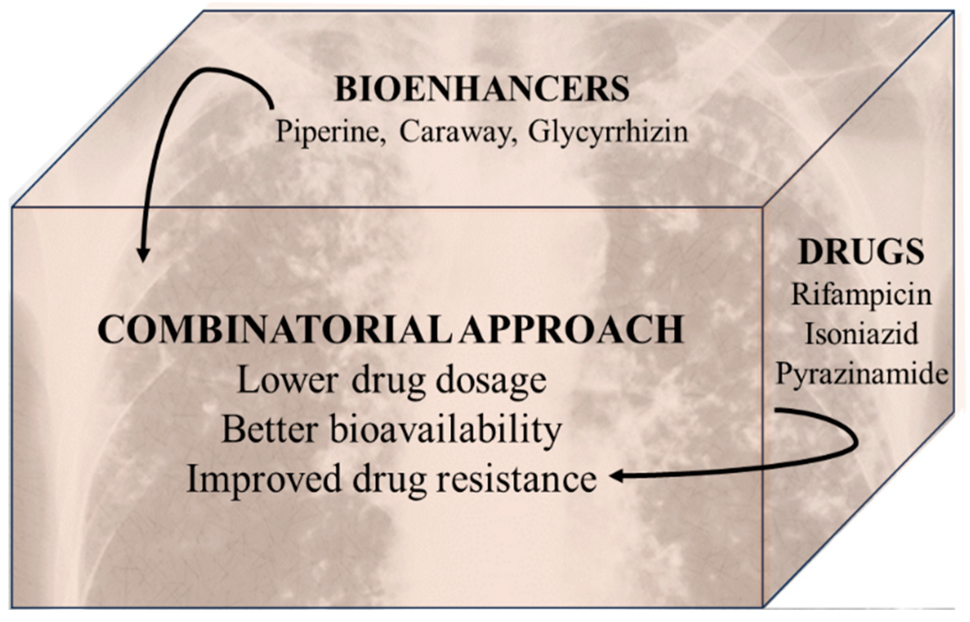 Role of Natural Phytoconstituents as a Potential Bioenhancer of Anti ...