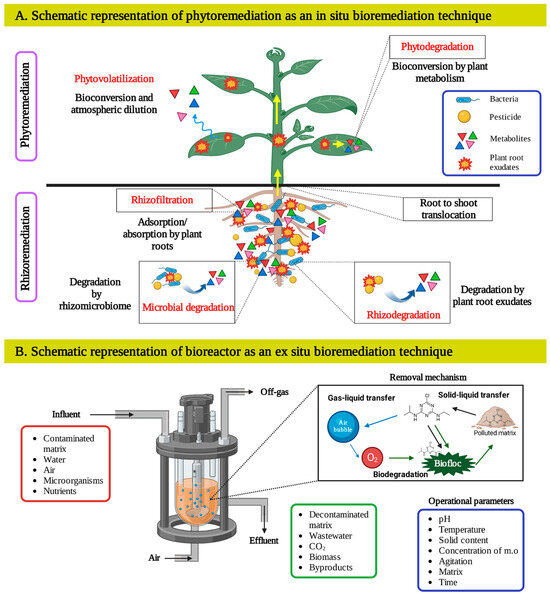 In Situ and Ex Situ Bioremediation of Different Persistent Soil ...