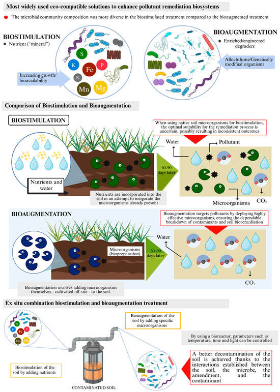 In Situ and Ex Situ Bioremediation of Different Persistent Soil ...
