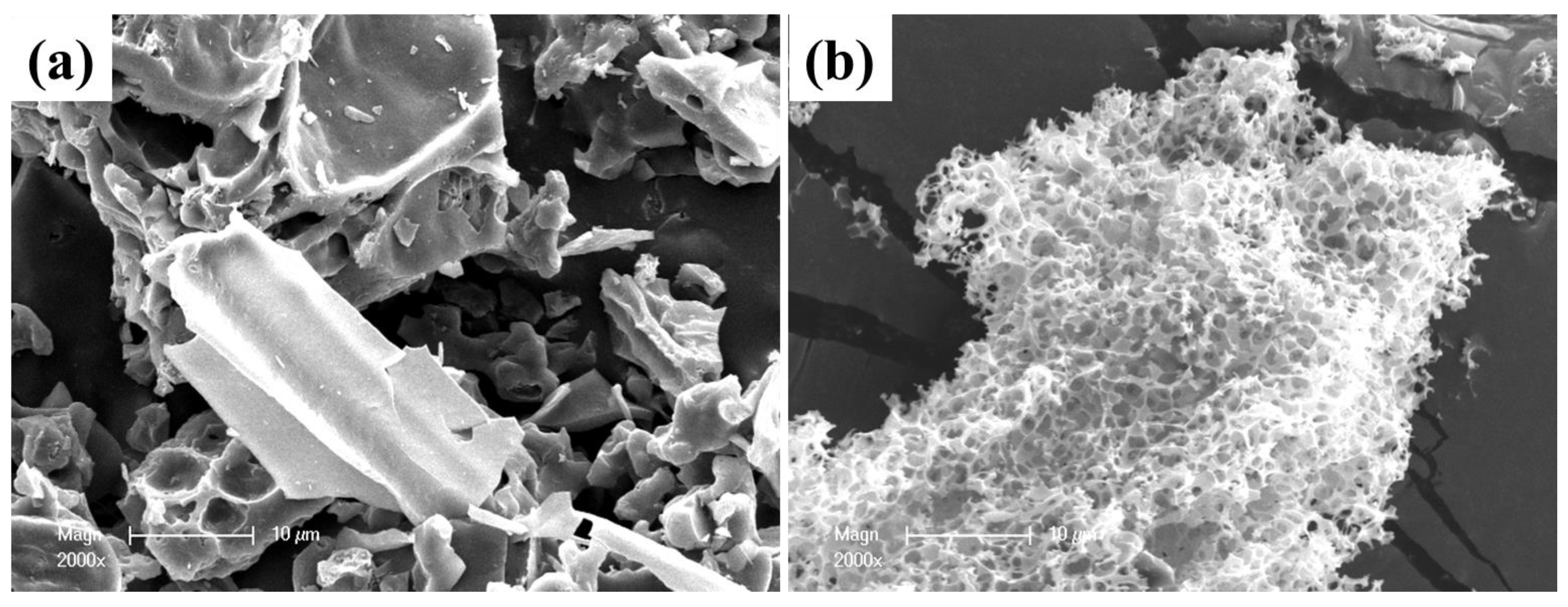 Performance and Mechanism of Porous Carbons Derived from Biomass as ...