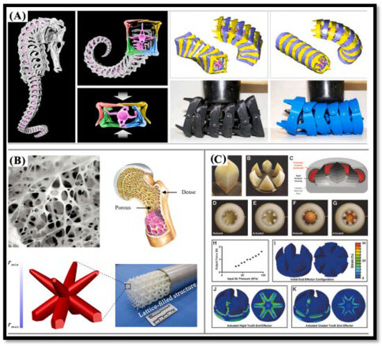 Functionally Graded Metamaterials: Fabrication Techniques, Modeling, and Applications—A Review