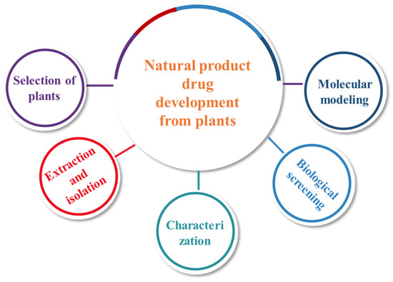 Green Medicine: Advancing Antimicrobial Solutions with Diverse ...