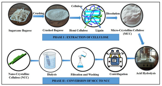 Investigating the Effect of Nano-Crystalline Cellulose in Nitrile ...