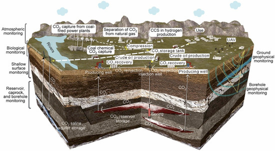 Typical Case Studies and Classification with Evaluation of Carbon ...