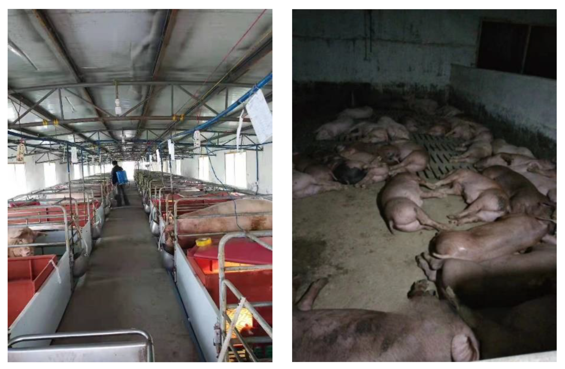 Design and Research of Intelligent Washing and Disinfection Integrated ...