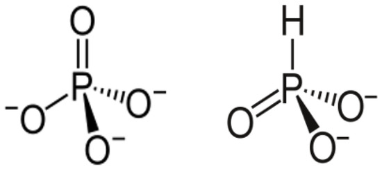 Phosphite as a Sustainable and Versatile Alternative for Biostimulation ...
