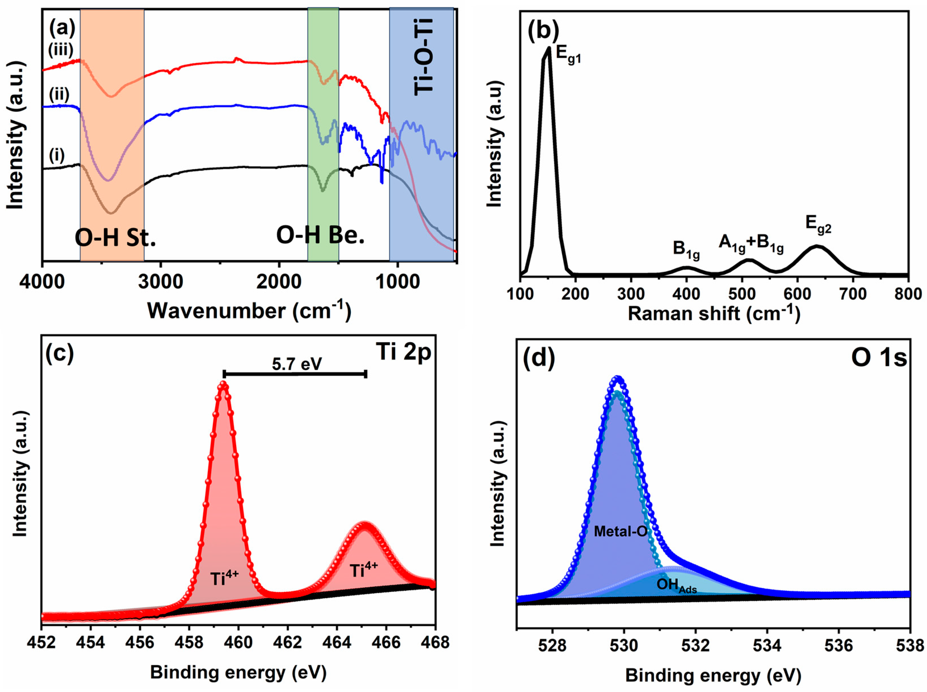 Efficient One-Pot Hydrothermal Synthesis of TiO2 Nanostructures for ...