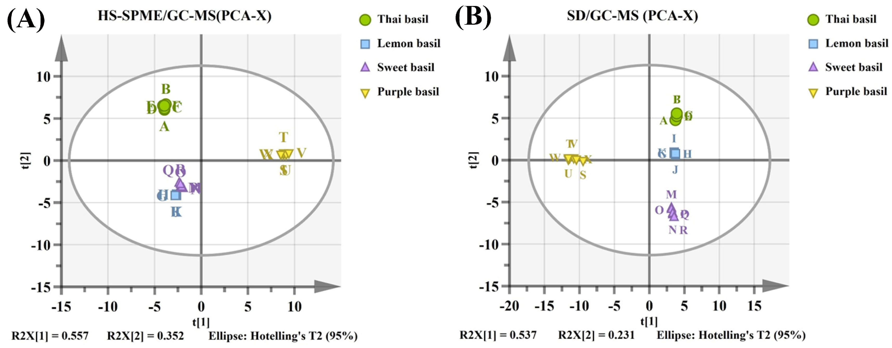 Comparative Analysis of Volatile Components and Sensory Profiles of ...