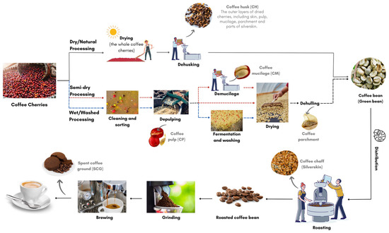 Upcycling Coffee Waste: Key Industrial Activities for Advancing ...