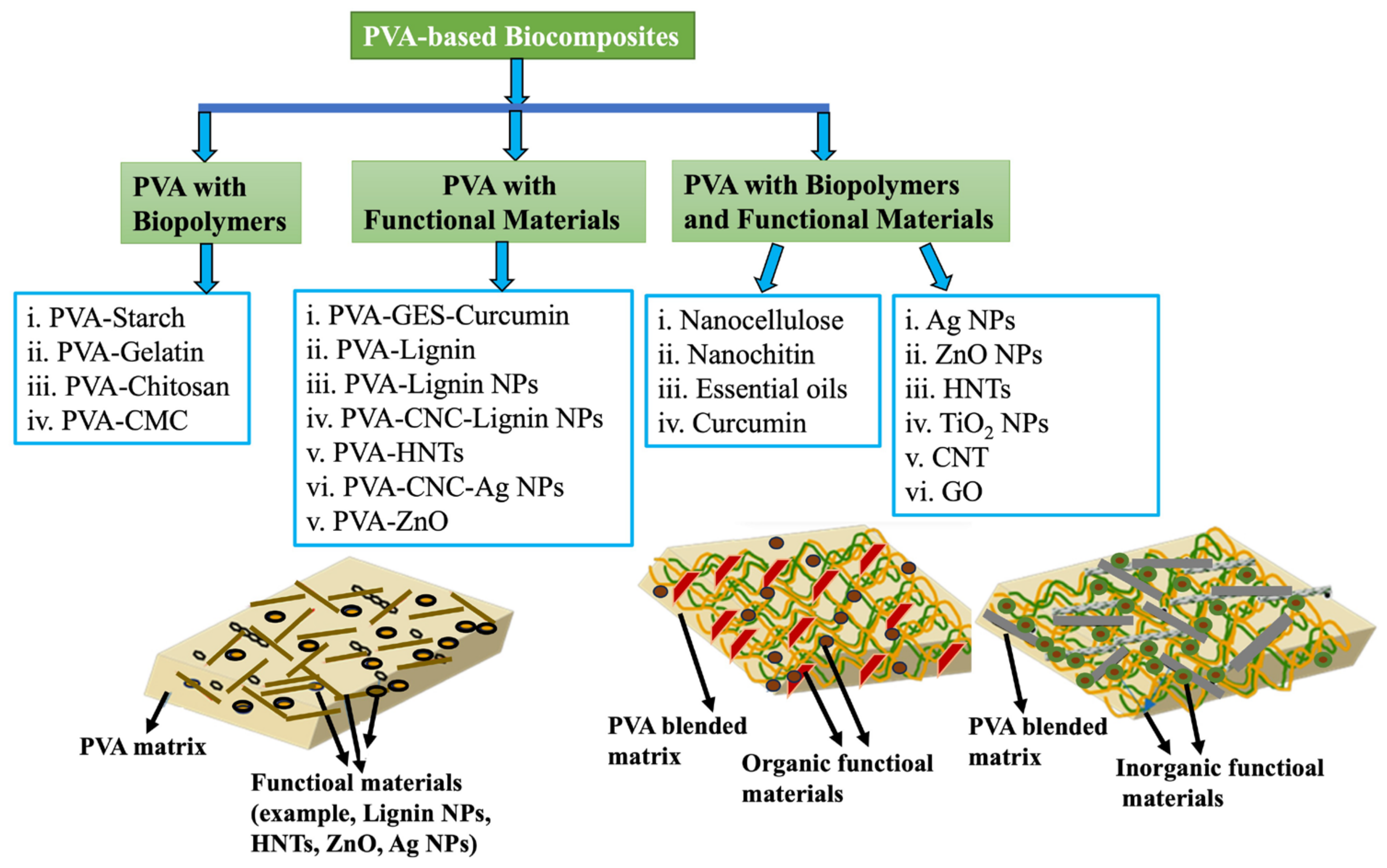 Synthesis, Rheology, Morphology, and Mechanical Properties of ...